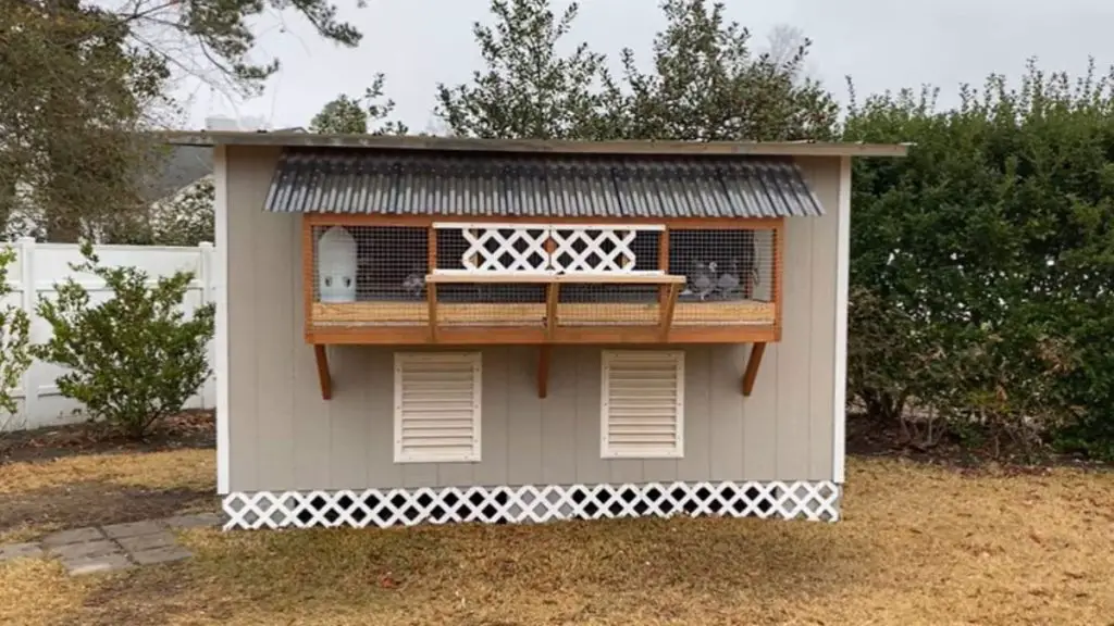Pigeon Coop Location: Factors, Needs, and Design Tips